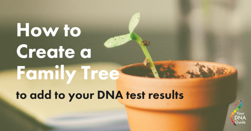 A Beginner’s Guide to Creating the Best Family Tree for DNA matches ...